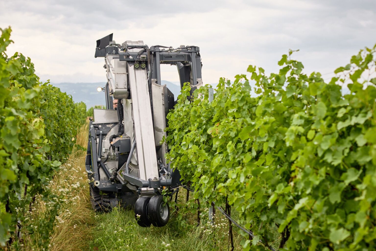LIDO - Laimburg Research Centre